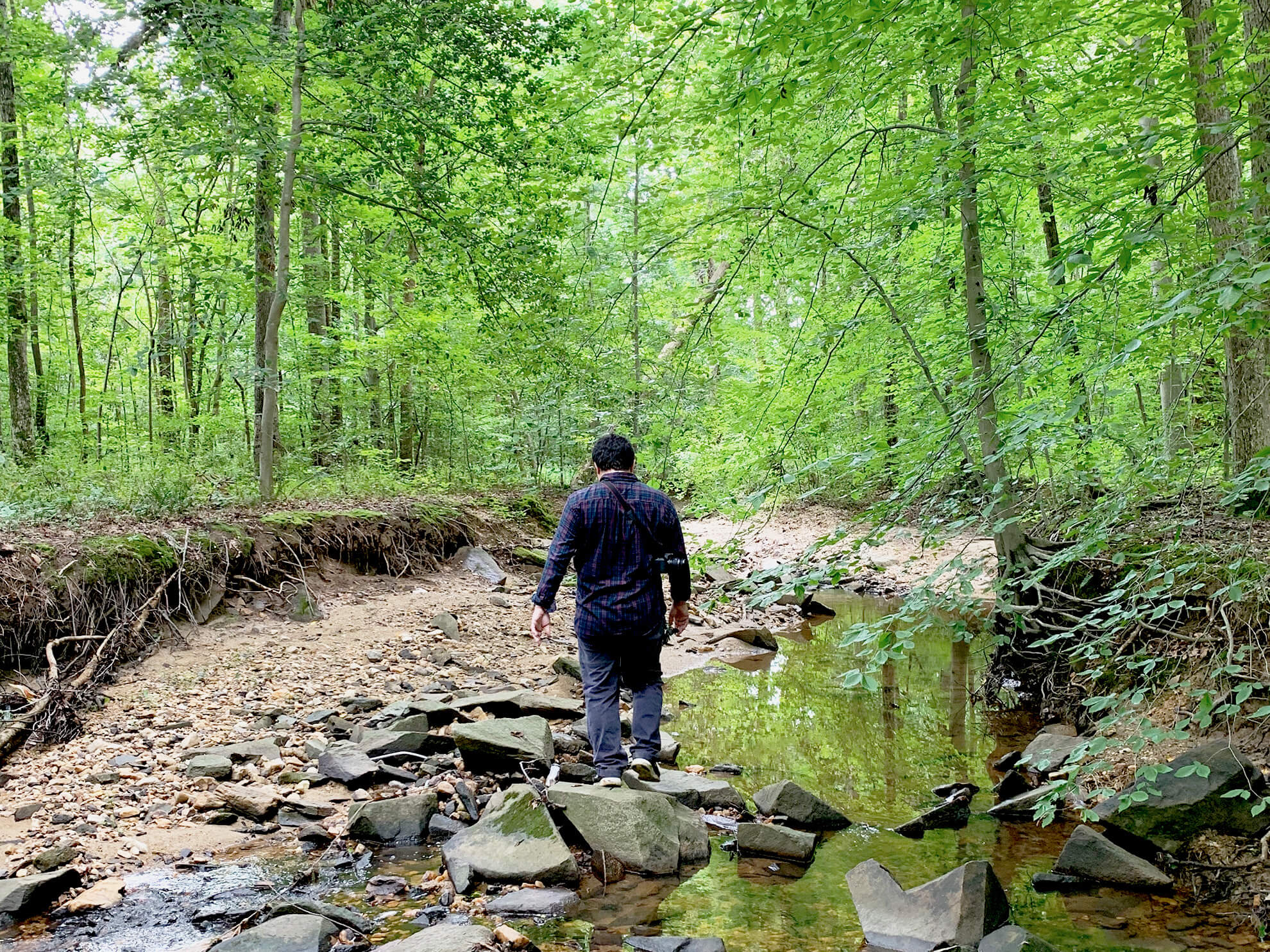 Searching for the Mill Races: Old Keene Mill Road in Springfield, VA ...