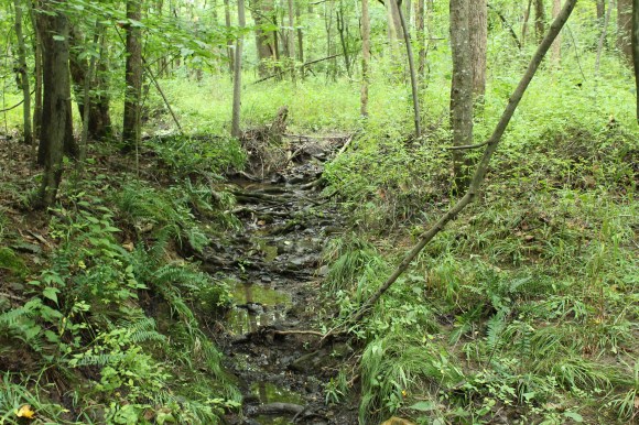 Searching for the Mill Races: Old Keene Mill Road in Springfield, VA ...